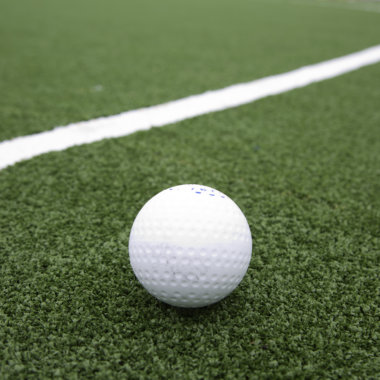 Kun jij aan de hand van plaatjes de juiste bal bij de juiste sport ...